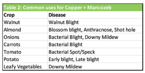 Copper and Mancozeb: Reliable Tools in Agricultural Production