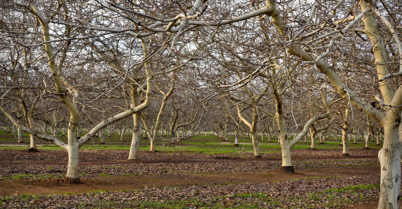 Make it count with ManKocide