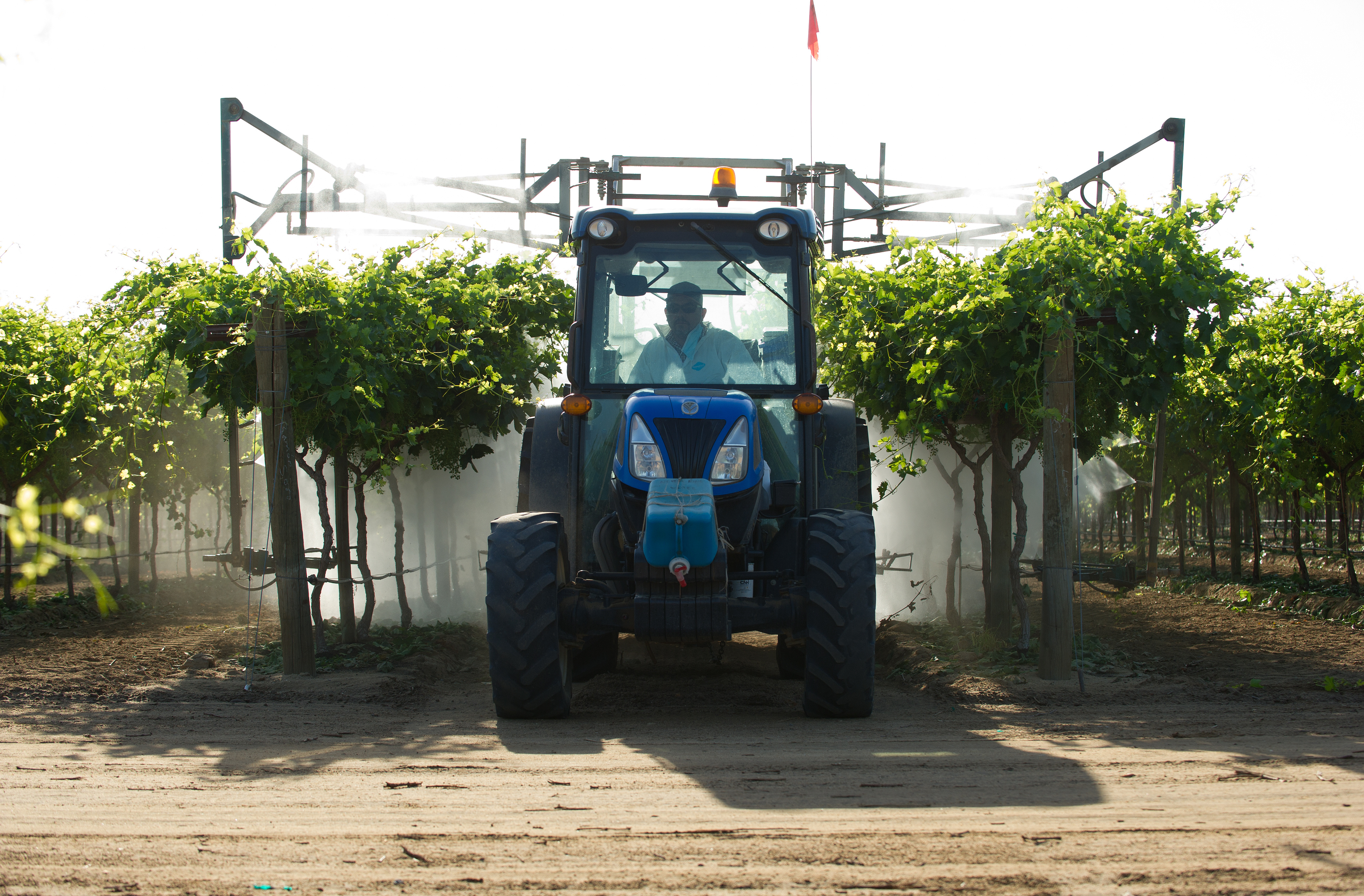 Four Good Reasons to Incorporate Biopesticides In Your Crop Management ...