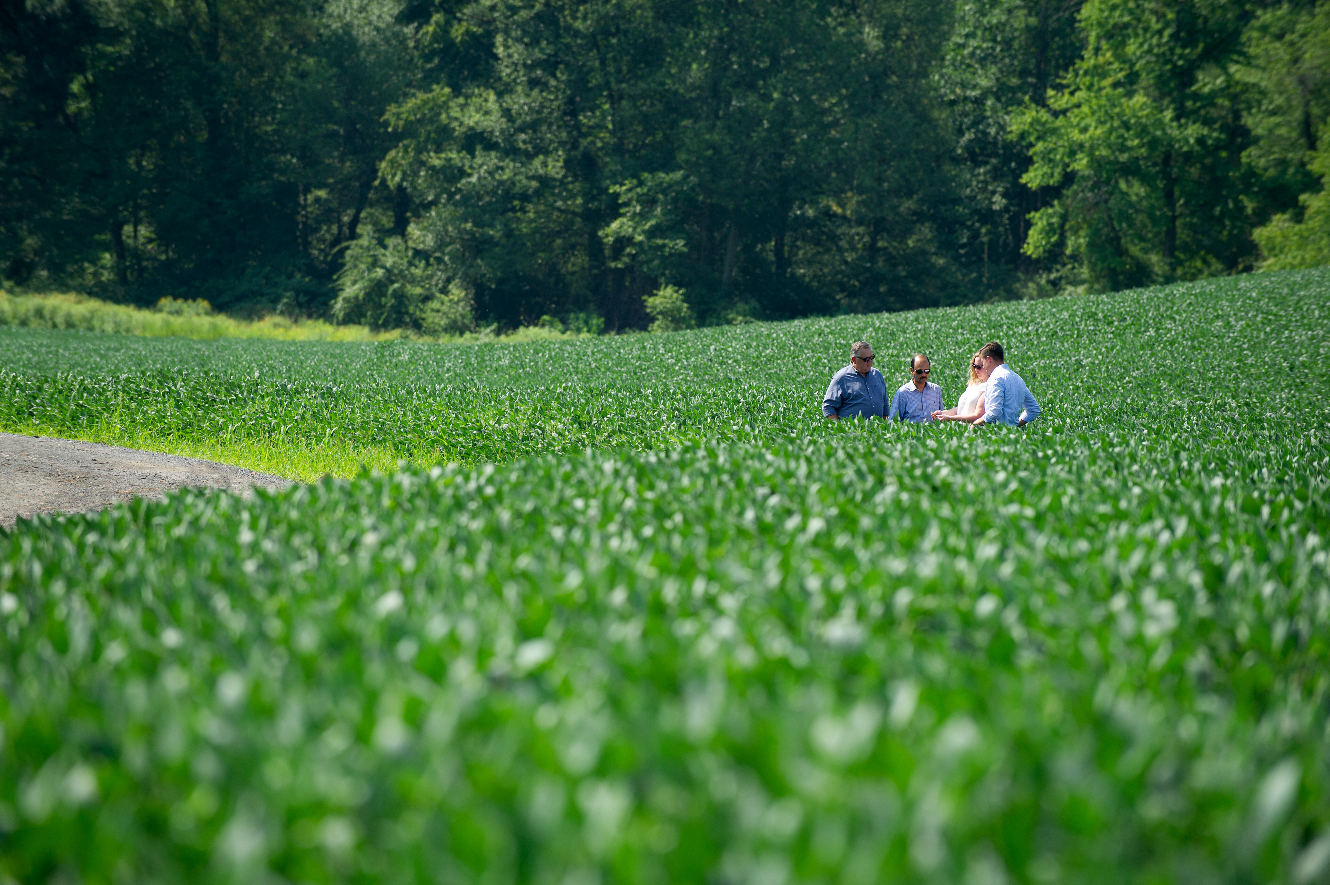 Grow Your Crop Protection Toolbox: New Modes of Action Fight Resistance